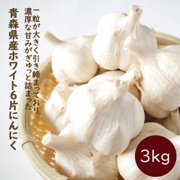 【こちらはご予約商品です】【発送時期の異なる商品とは同梱できません】発送時期が異なる商品を同時注文される場合、別送となるため追加で送料が発生します！発送時期については商品名・配送予定欄にてご確認いただくか、事前に同梱可能かお問合せください。...