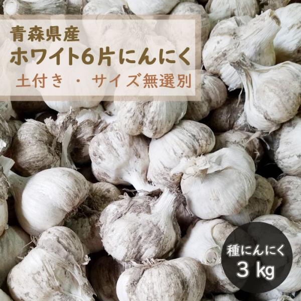 【こちらはご予約商品です】【発送時期の異なる商品とは同梱できません】発送時期が異なる商品を同時注文される場合、別送となるため追加で送料が発生します！発送時期については商品名・配送予定欄にてご確認いただくか、事前に同梱可能かお問合せください。...