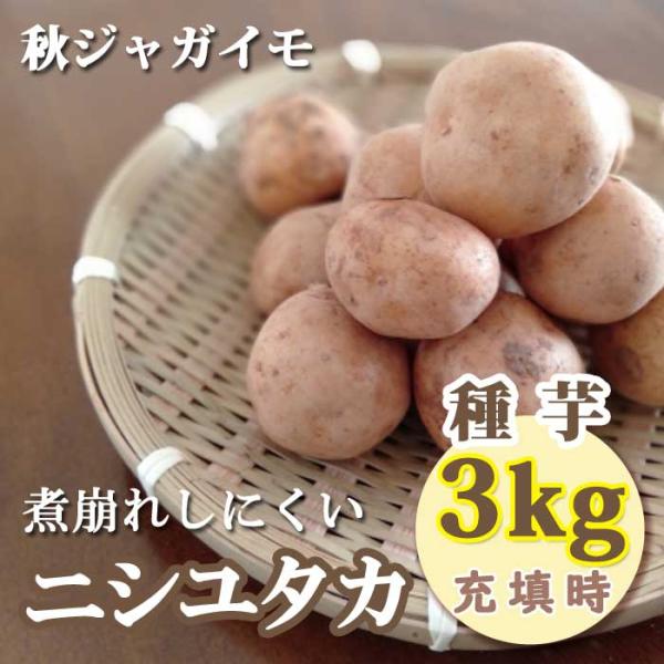 【こちらはご予約商品です】【発送時期の異なる商品とは同梱できません】発送時期が異なる商品を同時注文される場合、別送となるため追加で送料が発生します。発送時期については商品名・配送予定欄にてご確認いただくか、事前に同梱可能かお問合せください。...