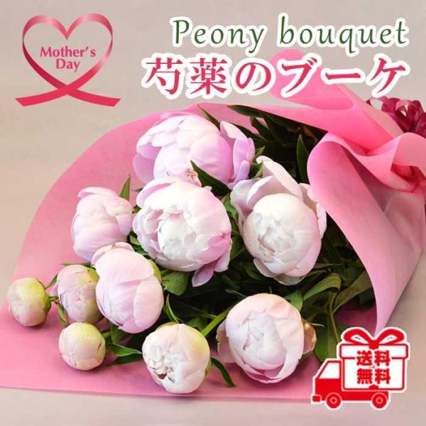 【！こちらの商品は、他の商品とは一切同梱できません！】【！5/6(水・祝)から5/9(土)の間でのお届けとなり、日時指定はできません！】【！お届け先住所の間違いが多発しております。今一度ご確認ください！】※写真はイメージです。植物は色や形状...