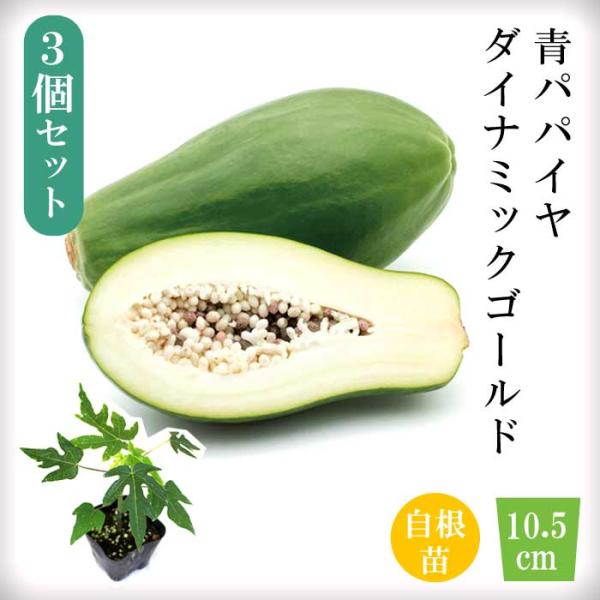 【こちらはご予約商品です】【発送時期の異なる商品とは同梱できません】発送時期が異なる商品を同時注文される場合、別送となるため追加で送料が発生します！発送時期については商品名・配送予定欄にてご確認いただくか、事前に同梱可能かお問合せください。...