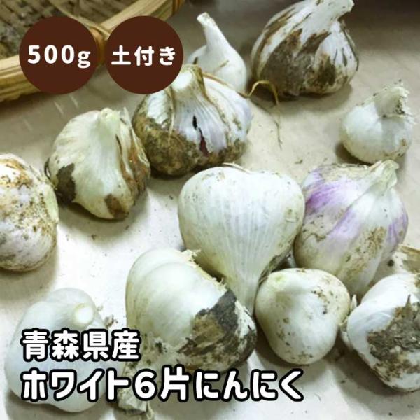 【こちらはご予約商品です】【発送時期の異なる商品とは同梱できません】発送時期が異なる商品を同時注文される場合、別送となるため追加で送料が発生します！発送時期については商品名・配送予定欄にてご確認いただくか、事前に同梱可能かお問合せください。...