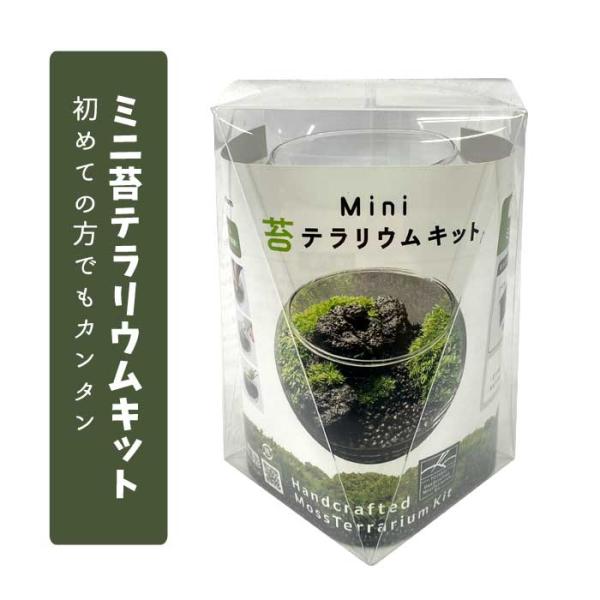 【発送時期の異なる商品とは同梱できません】発送時期が異なる商品を同時注文される場合、別送となるため追加で送料が発生します！発送時期については商品名・配送予定欄にてご確認いただくか、事前に同梱可能かお問合せください。※写真はイメージです。植物...
