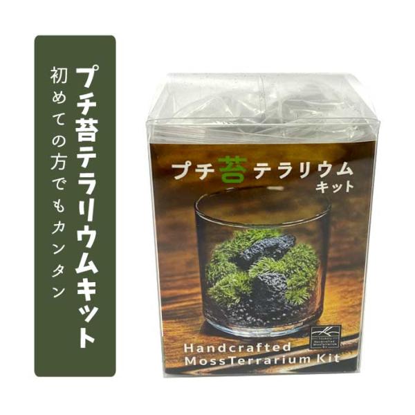 【発送時期の異なる商品とは同梱できません】発送時期が異なる商品を同時注文される場合、別送となるため追加で送料が発生します！発送時期については商品名・配送予定欄にてご確認いただくか、事前に同梱可能かお問合せください。※写真はイメージです。植物...