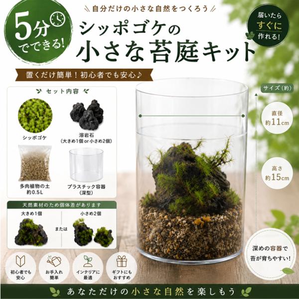 【発送時期の異なる商品とは同梱できません】発送時期が異なる商品を同時注文される場合、別送となるため追加で送料が発生します！発送時期については商品名・配送予定欄にてご確認いただくか、事前に同梱可能かお問合せください。※写真はイメージです。植物...