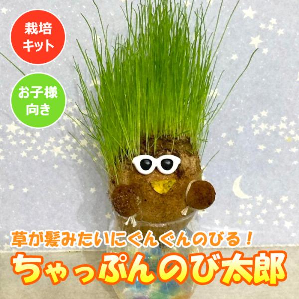 【発送時期の異なる商品とは同梱できません】発送時期が異なる商品を同時注文される場合、別送となるため追加で送料が発生します！発送時期については商品名・配送予定欄にてご確認いただくか、事前に同梱可能かお問合せください。※写真はイメージです。植物...