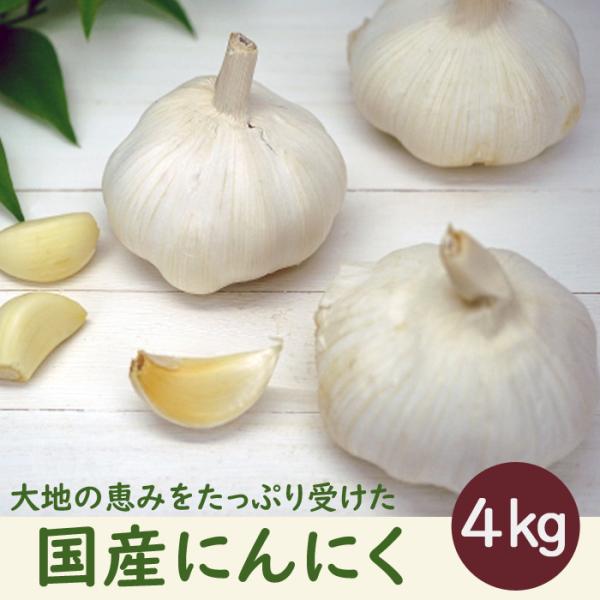 【発送時期の異なる商品とは同梱できません】発送時期が異なる商品を同時注文される場合、別送となるため追加で送料が発生します！発送時期については商品名・配送予定欄にてご確認いただくか、事前に同梱可能かお問合せください。※写真はイメージです。植物...