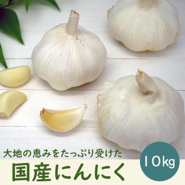 【発送時期の異なる商品とは同梱できません】発送時期が異なる商品を同時注文される場合、別送となるため追加で送料が発生します！発送時期については商品名・配送予定欄にてご確認いただくか、事前に同梱可能かお問合せください。※写真はイメージです。植物...