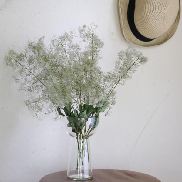 若干赤っぽい部分が混ざるものもあります。ふわふわかわいいスモークツリーのドライフラワー。ナチュラルかわいいグリーン系です。フラワーベースに挿したりハンギングや壁につるしたり、ナチュラル・シンプル・北欧系などのインテリアやディスプレイに人気が...