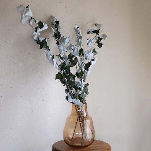 葉裏の白が美しいシックな印象のホワイトポプラ(ギンドロ)のドライフラワー。シルバーリーフのようなグレイッシュな色が魅力。ガラスベースに飾ってボタニカルでシンプルモダンなインテリアに。あじさいグリーンアナベルや白樺の枝とあわせても素敵です。ブ...