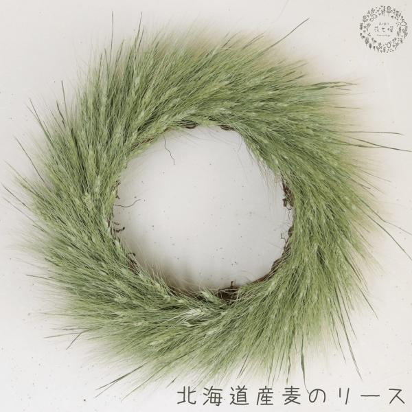 北海道産の"ハルユタカ小麦"のドライフラワーだけをふんだんに使用して素朴でナチュラルだけど存在感のある大きいリースに仕上げました。北海道・富良野の初夏の景色をイメージして青々と清潔感のある雰囲気に。普段の生活に馴染み、飽きが来ないような大人...