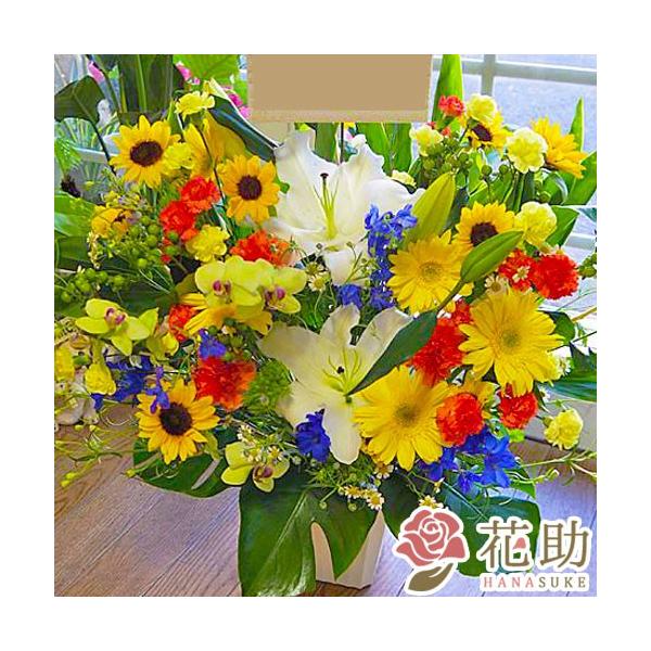 【最短出荷日】15時までのご注文で最短即日配送。午前中のお届けをご希望の場合、前日15時までにご注文ください。 開業祝い、開院祝い、お誕生日、還暦祝いなど    【お届け内容】御祝いアレンジメント花画像は一例です。使用するお花は季節、仕入れ...