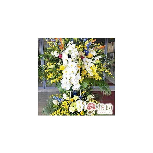 【最短出荷日】15時までのご注文で最短即日配送。午前中のお届けをご希望の場合、前日15時までにご注文ください。【お届け内容】お祝いスタンド花画像は一例です。使用するお花は季節、仕入れ状況により異なるので仕上がりはお任せとなります。【サイズ】...