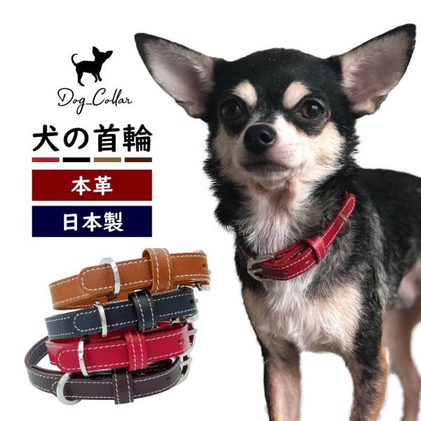 トイプードル チワワ タイニープードル 柴犬 豆柴 シバイヌ ポメラニアン ミニチュアダックスフント パグ フレンチブルドッグ ヨークシャーテリア ミニチュアシュナウザー シーズー パピヨン ペキニーズ コーギー ビーグル 超小型犬 小型犬...