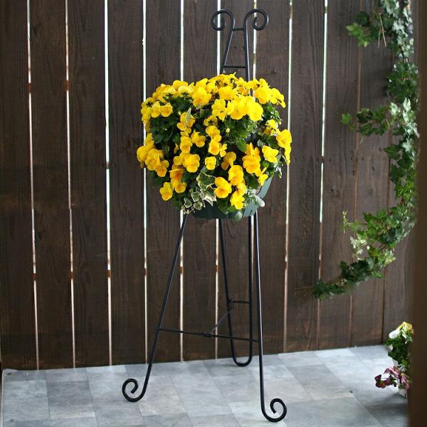 送料無料でお届けします！（北海道・沖縄・東北地方へのお届けは＋送料500円かかります）　　※植物は付属しません。同梱できません。単品発送となります。 大きな商品のため、他の商品と一緒に箱詰めすることができません。単品での発送となります。※「...