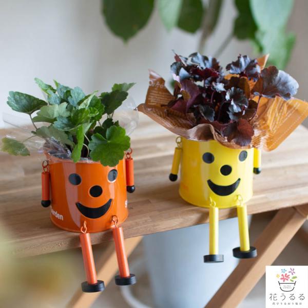 ＼数量限定／花うるる 敬老の日ギフトに『ブリキマン×ヒューケラ』( 敬老 敬老ギフト 秋ギフト 孫 孫から おじいちゃん おばあちゃん フラワー ギフト ガーデニング セット 贈り物 鉢 誕生日 限定 新築祝い 鉢植え 珍しい 完成品 観葉...