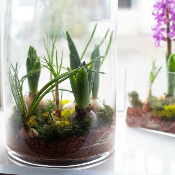 ※北海道・東北・沖縄へは送料別途500円かかります。ご注文後に加算させていただきますことご了承ください。●メッセージカード(無料)をご希望の場合は、 　買い物かごに入れて進み、決済の最終画面の「備考欄」に、ご希望の文面をご記入ください。 ◆...