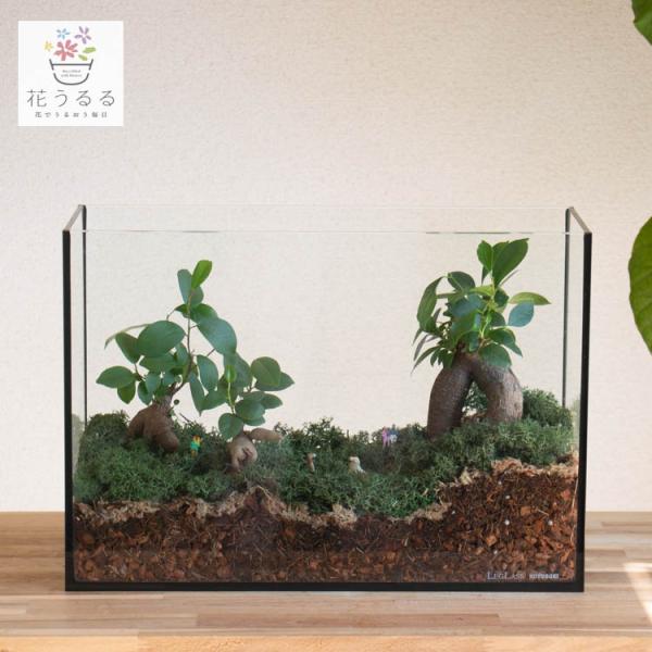【関連キーワード】高級 ギフト 贈答品 贈り物 プレゼント 人気 おすすめ ランキング 人気ランキング お歳暮 お中元 御中元 父の日 母の日 子供の日 敬老の日 クリスマス 正月 バレンタインデー ホワイトデー 誕生日 ご自宅で楽しめる ...