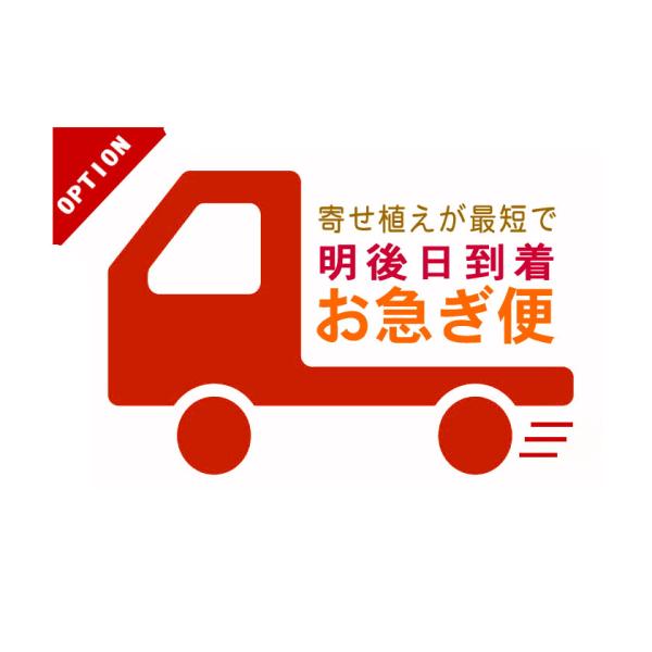 【オプションの利用方法】１．当店のおまかせ寄せ植え作品と本オプションを一緒に買い物かごに入れて決済してください。２．営業日のPM12:00（正午）までのご注文で、翌営業日に当店から出荷いたします。（お届けは翌々営業日以降）【注意】・１作品に...
