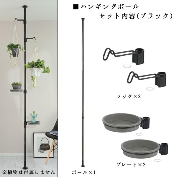 ※写真はイメージです。植物や撮影用資材などはセットに含まれません。簡単に取り付けられる突っ張り式です。室内でのハンギング、ミニ鉢の設置に使用出来ます。フックやプレートの組合せで、カスタマイズ自由自在。■セット内容ハンギングポール　×　1ハン...