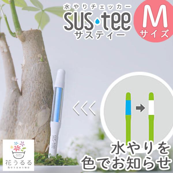 ・その他の寄せ植えやハンギング作品と同梱する場合は何点でも送料無料。・サスティーだけの発送の場合はメール便で安くお届け可能です。―――――――適切な水やりタイミングを「色の変化」でお知らせ。電池を使わないから、鉢に挿しておくだけ。電池を使わ...