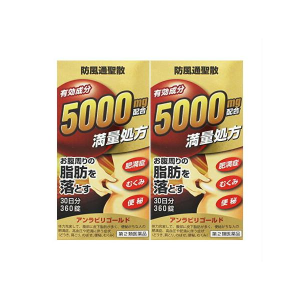 【第2類医薬品】アンラビリゴールド 360錠 【2個セット】(4987076505089-2)