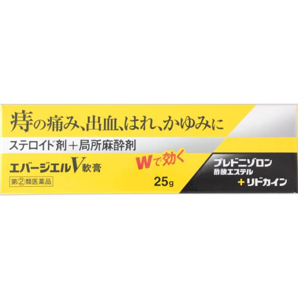 【第(2)類医薬品】エバージエルＶ軟膏 25g