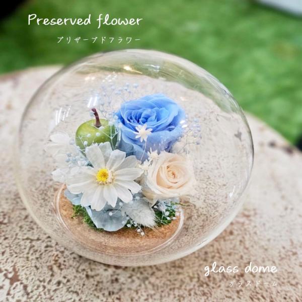 ガラスに包まれた美しい花言葉では伝えきれない大切な想いを伝えたい。　丸く包まれたガラスドームが一層美しくさせるそんなプリザーブドフラワーです。自宅のインテリアや玄関などのディスプレイなどにも最適です。　ギフト・プレゼントにも大変喜ばれるプリ...