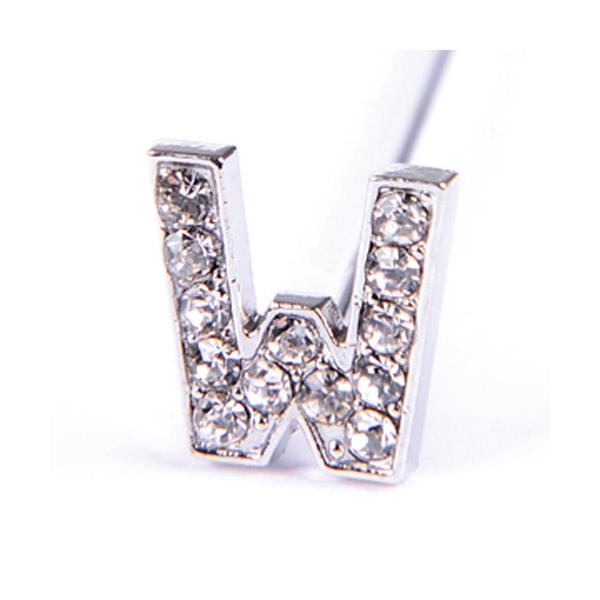 イニシャル（アルファベット）のピックです。エレガントな輝きのガラスピック、アイデア次第で様々な用途にご利用いただけます。大きさ：　最大幅約1.5cm×　長さ約8cm※先端が尖っていますので、商品を取り出す際や、ご使用の際は十分ご注意ください...