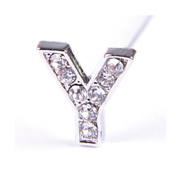 イニシャル（アルファベット）のピックです。エレガントな輝きのガラスピック、アイデア次第で様々な用途にご利用いただけます。大きさ：　最大幅約1.5cm×　長さ約8cm※先端が尖っていますので、商品を取り出す際や、ご使用の際は十分ご注意ください...