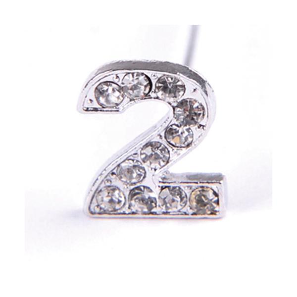 イニシャル（アルファベット）のピックです。エレガントな輝きのガラスピック、アイデア次第で様々な用途にご利用いただけます。大きさ：　最大幅約1.5cm×　長さ約8cm※先端が尖っていますので、商品を取り出す際や、ご使用の際は十分ご注意ください...