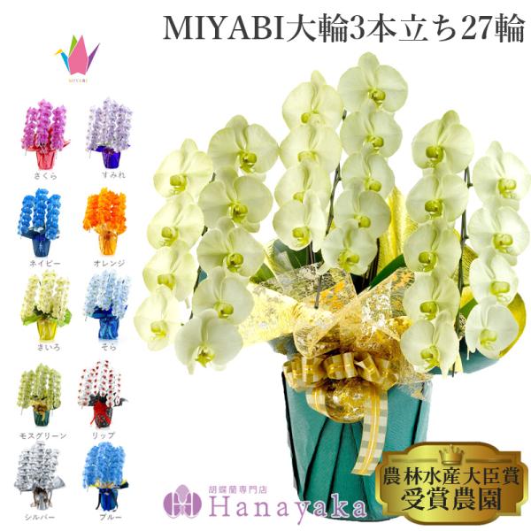 誕生日プレゼント  花胡蝶蘭お祝い：開店祝い 就任祝い 送別 退職 引っ越し 出産祝い 結婚式 結婚記念日お供え用：お盆 お彼岸 ご葬儀 お通夜 一周忌 初盆 新盆イベント：母の日 父の日 敬老の日 クリスマス お年賀 ホワイトデー バレン...