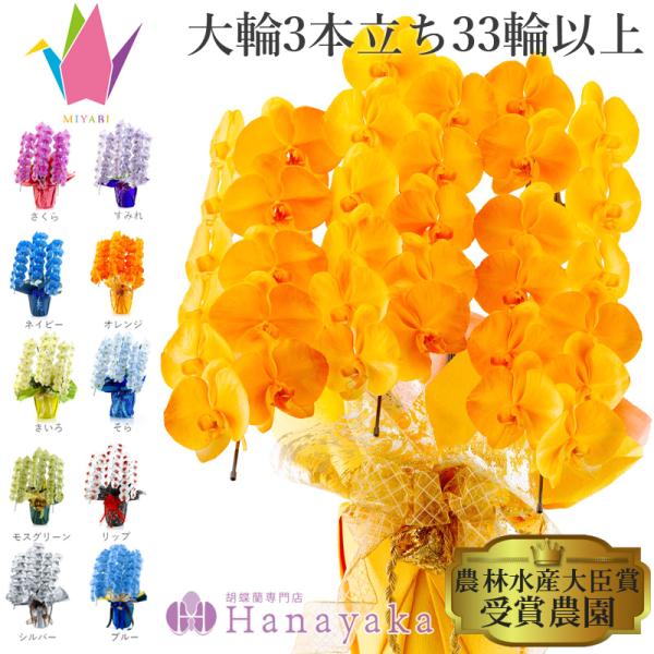 誕生日プレゼント  花胡蝶蘭お祝い：開店祝い 就任祝い 送別 退職 引っ越し 出産祝い 結婚式 結婚記念日お供え用：お盆 お彼岸 ご葬儀 お通夜 一周忌 初盆 新盆イベント：母の日 父の日 敬老の日 クリスマス お年賀 ホワイトデー バレン...