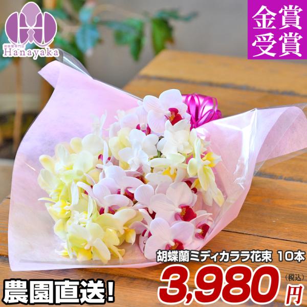 ■商品詳細胡蝶蘭　カララ（ミニミディ）花束　10本入り・MIX2色以上（花色お任せ、花色割合に偏りがある場合あり）・白、ピンク、黄色（同じ品種の場合と、色系統で品種が混ざる場合あり）※品種は様々です。色の濃淡や柄等写真と異なる場合があります...