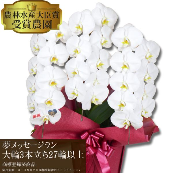 胡蝶蘭お祝い：開店祝い、就任祝い、送別、退職、引っ越し、出産祝い、結婚式、結婚記念日お供え用：お盆、お彼岸、ご葬儀、お通夜、一周忌、初盆、新盆イベント：母の日、父の日、敬老の日、クリスマス、お年賀、ホワイトデー、バレンタイン、ハロウィン、お...