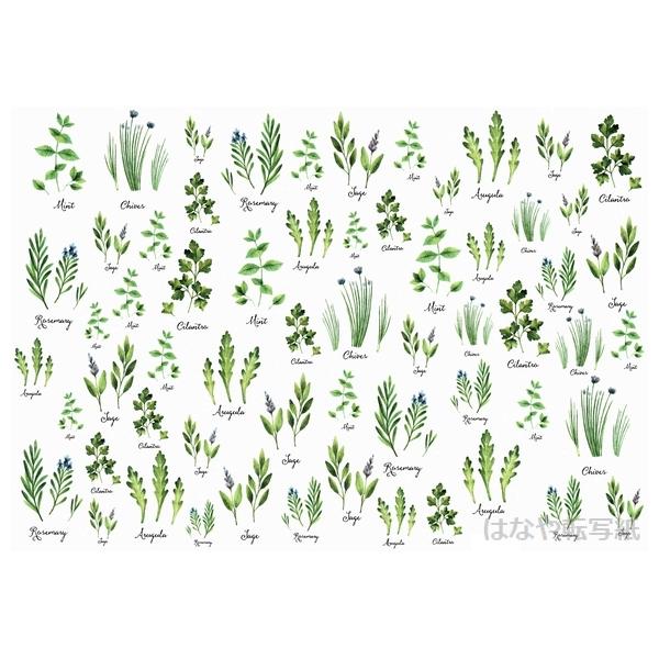 サイズ：約31×21.5cm（印刷面の大きさ）１つのハーブの絵柄の大きさ（文字を含まない）：Φ2〜4.3cm品名：陶磁器用上絵付転写紙（白磁用転写紙）種別：パーツアソート焼成温度：780〜820°C（ご参考値） ※焼成見本写真のタイルの大き...