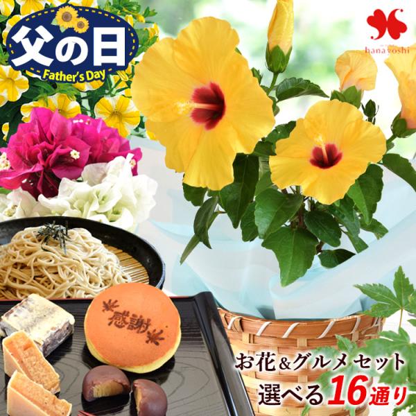 父の日におすすめお花（盆栽・鉢花）とスイーツ・グルメから選べるギフトです。バリエーションが16通りあり、お父さんの好みに合わせて組合せ可能です。【内容】ロングライフハイビスカス４号鉢イエロー系※品種は選択不可/ラッピング/バスケットブーゲン...
