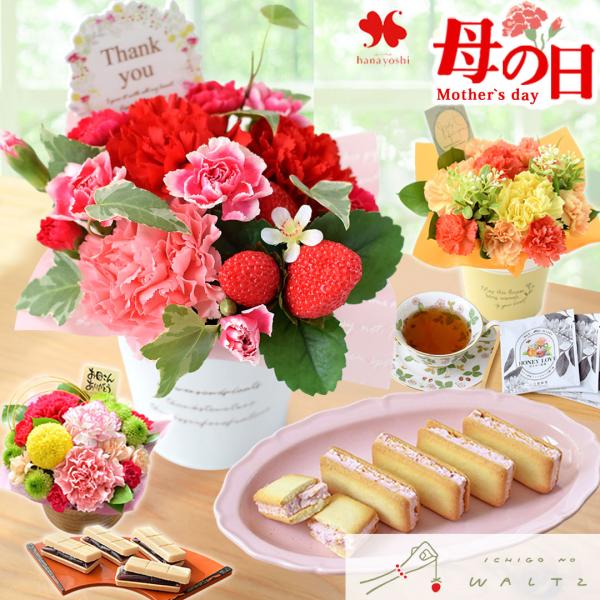 【内容】●生花アレンジ ストロベリーガーデン＆苺のバターサンドカーネーション/スプレーカーネーション/季節のグリーン/ストロベリーピック/ブリキ鉢/ラッピング/母の日ピック◆苺のワルツ 「あまおう苺のバターサンド」（5個入り）賞味期限：常温...