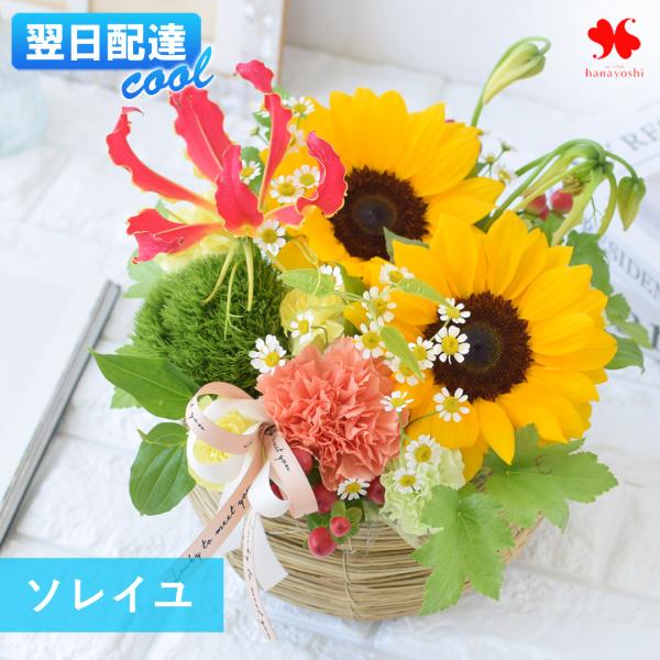 夏らしい彩りが楽しめる生花アレンジメント。季節のご挨拶や感謝の気持ちを伝える贈り物に最適です。お中元や御中元、サマーギフトとして、お部屋を明るく彩る上品なプレゼントです。涼やかな花のある暮らしを届けます。【内容】●ルミナスアレンジ サマーv...