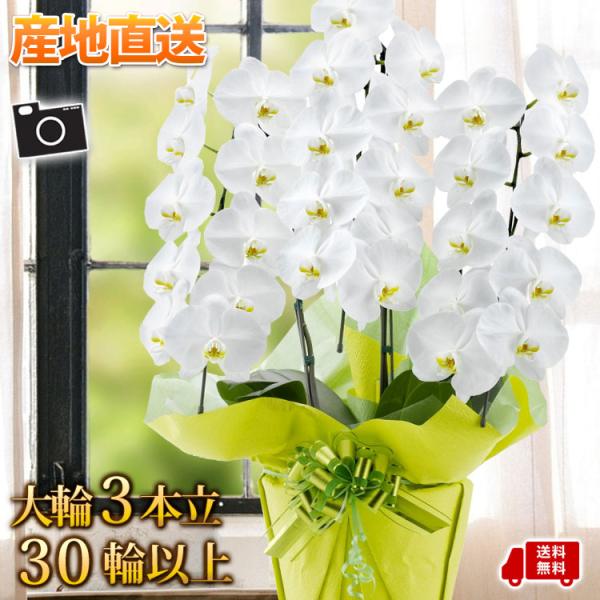 爆買 爆買