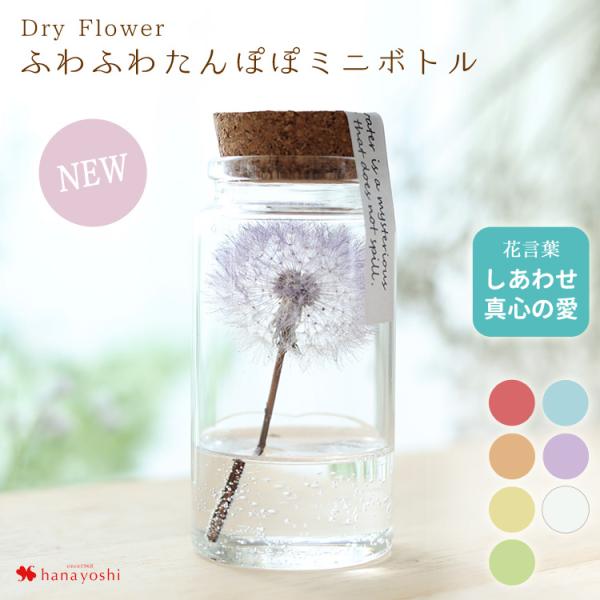 【内容】ドライフラワー/コルクボトル/ジェル/シール/ラッピング/＊ 入荷状況により、花材・花色・品種・資材は変更になる場合がございます。ご希望の方にはメッセージカード・手提げ袋(お客様がご記入できる欄にお書き添えくださいませ)/取扱説明書...