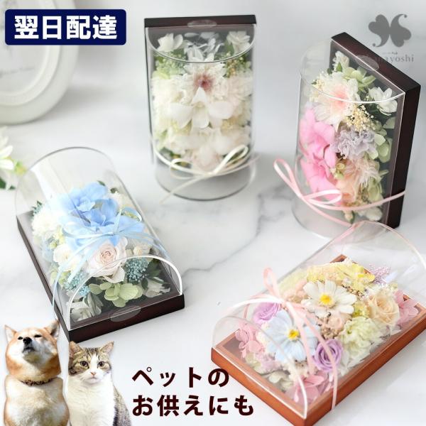 【内容】ブルー、ピンク、ホワイト:プリザーブド菊/プリザーブドデンファレ/プリザーブドローズ/プリザーブドカスミソウ/プリザーブドアジサイ/プリザーブドグリーン/その他虹色:プリザーブドローズ/プリザーブドカスミソウ/プリザーブドアジサイ/...