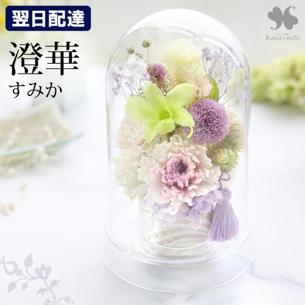 【内容】プリザーブド菊/プリザーブド輪菊/プリザーブドデンファレ/プリザーブドアジサイ/プリザーブドカーネーション/プリザーブドモリソニア/ドライフラワー/ソラフラワー/アーティフィシャルグリーン（造花）/クリアードーム（スチロール樹脂）/...