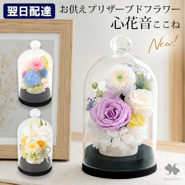 【内容】◆パープルプリザーブド菊/プリザーブドローズ/プリザーブドアジサイ/プリザーブドカスミソウ/ドライフラワー/ガラスドーム/◆ブルーパステルプリザーブド菊/プリザーブドポンポン菊/プリザーブドアジサイ/プリザーブド千日紅/ドライフラワ...