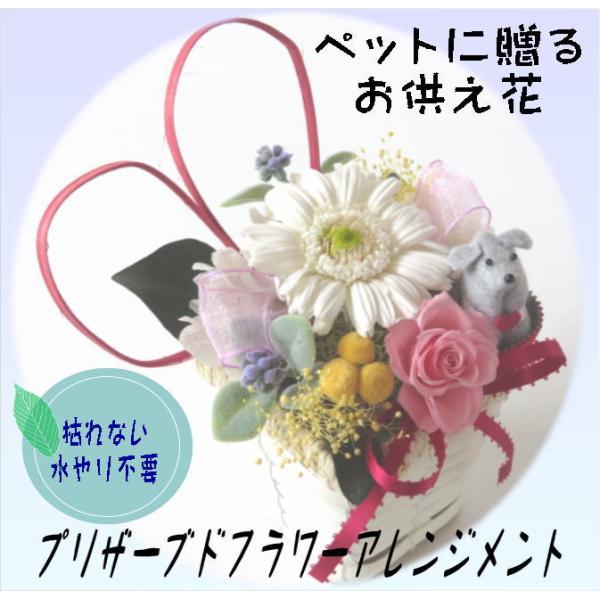 【発売日：2026年01月08日】〜在りし日の可愛いきみへ〜ワンコのブリザーブドフラワーアレンジメント　・フェルトワンコは、２０年以上も作り続けるオリジナルオーナメントです。　　手作りのため１点ずつ表情は違います。♪お勧めのご用途　お供え ...
