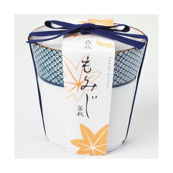 種類：もみじ本体サイズ（約）：幅9.2×奥9.2×高8.8cm重量（約）：345g素材：陶器原産国：日本