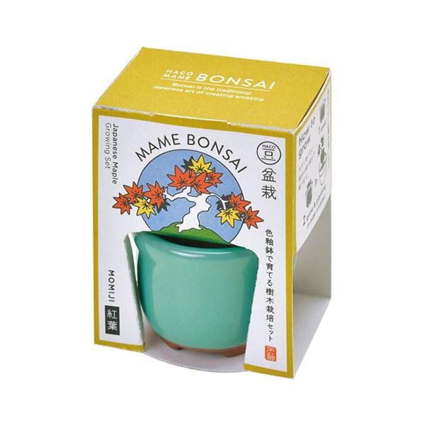 種類：もみじ本体サイズ（約）：幅5.5×奥3.5×高7.3cmセット内容：豆鉢、膨らむ土、説明書、種