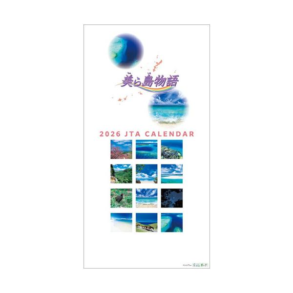 本体サイズ（約）：縦810×横420mm枚数：13枚