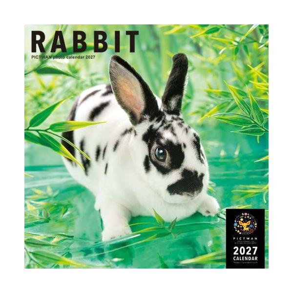 サイズ（約）：［本体］縦288×横288mm　［使用時］縦576×横288mmページ数：28ページ重量（約）：240g製本仕様：中綴じ付属品：オリジナルシール(280×280mm)
