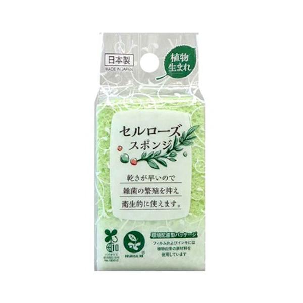 カラー：グリーン本体サイズ（約）：幅70×奥25×110mm素材：セルローズ（植物性繊維素）